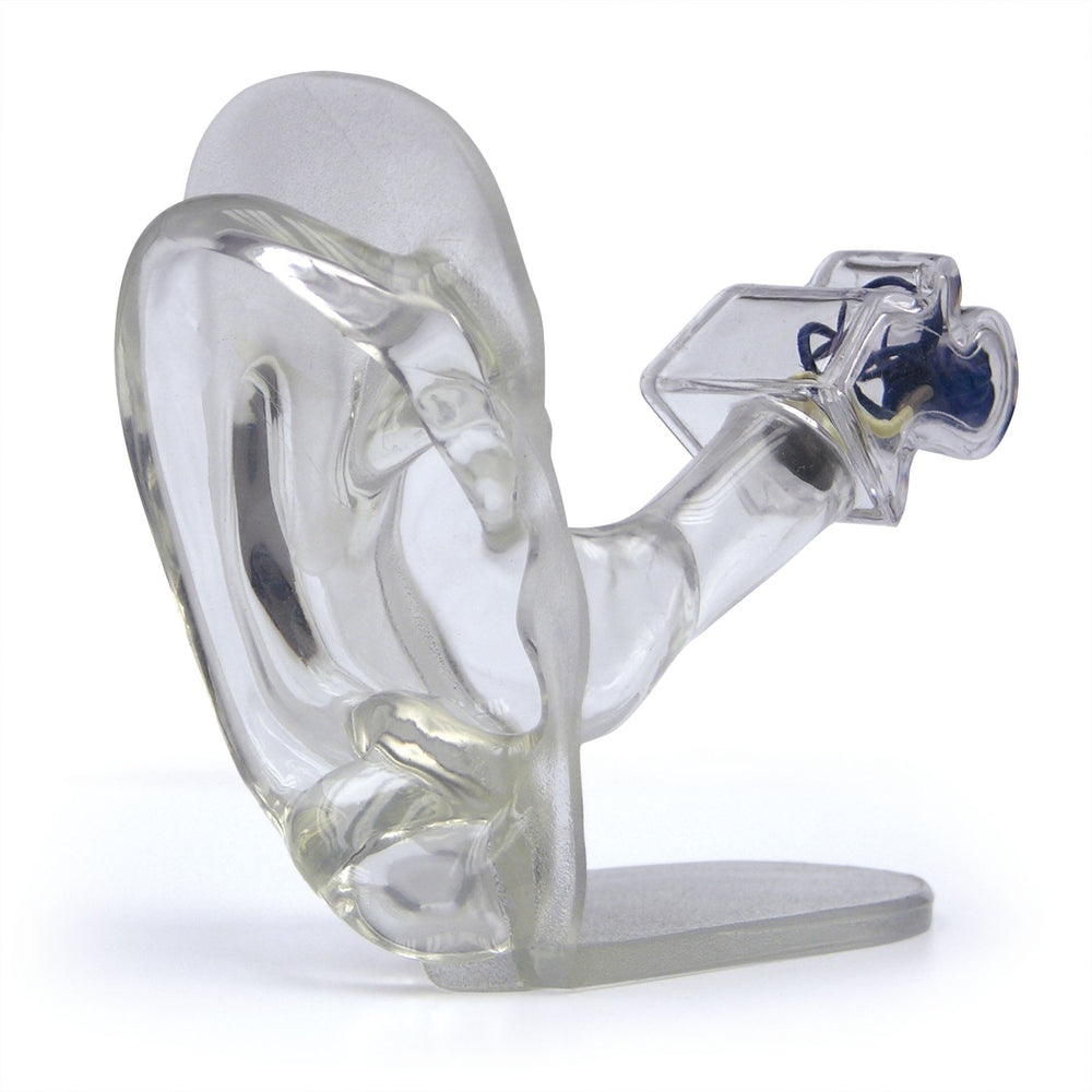 Clear Ear Education Card – GPI 3D Anatomy
