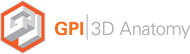 What is 3D Printing? – GPI 3D Anatomy